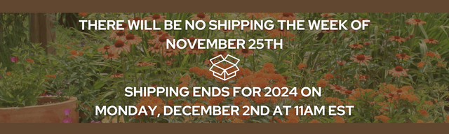 Exceptional Perennial Plants for Sale Online | Rare Roots